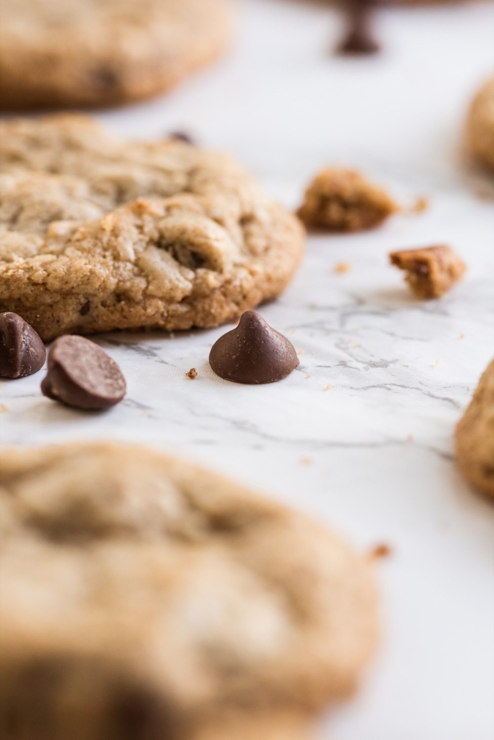 Best Ever Oatmeal Chocolate Chip Cookies | The Sweetest Occasion ...